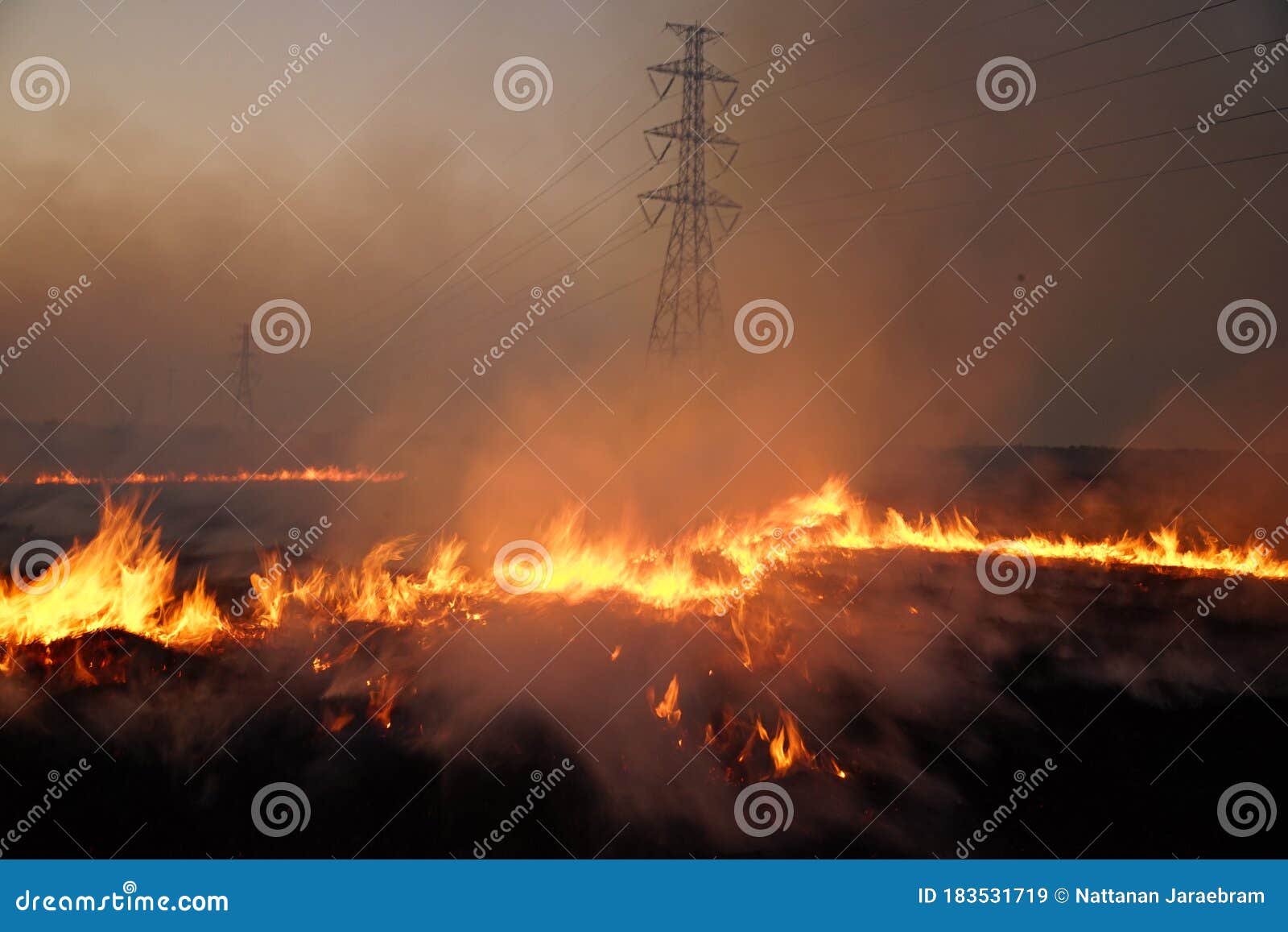 Burn Rice Stubble with Flames Stock Image - Image of ecology, stubble ...