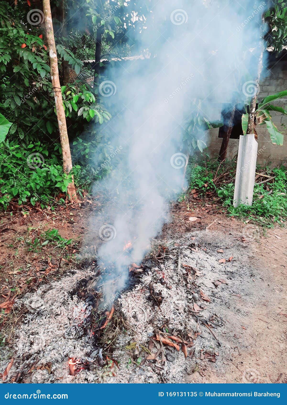 That Burn Waste in the Forest. Smoke from Burning Waste Stock Image ...