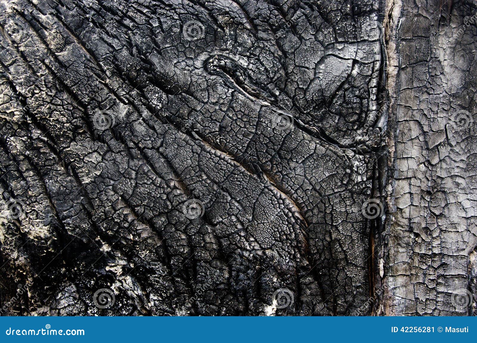 Burn Wood Texture. Details Patterned Wood Burned Surface. Charred Bark ...
