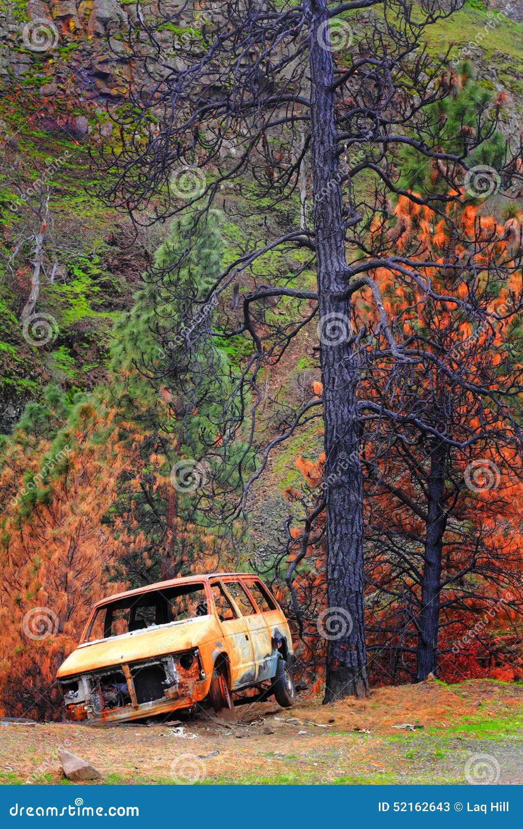 Burned Area stock image. Image of burned, environment - 52162643