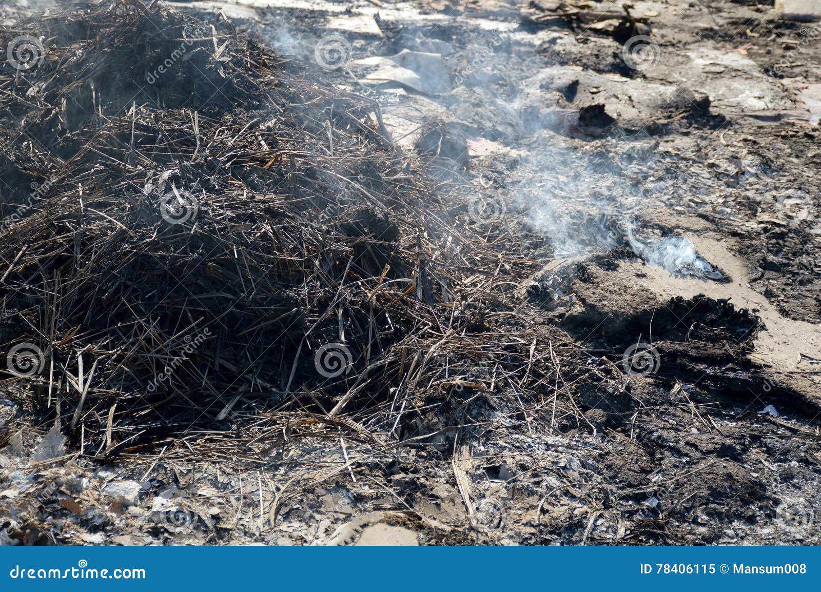 Burned ash from fire stock image. Image of bonfire, burned - 78406115