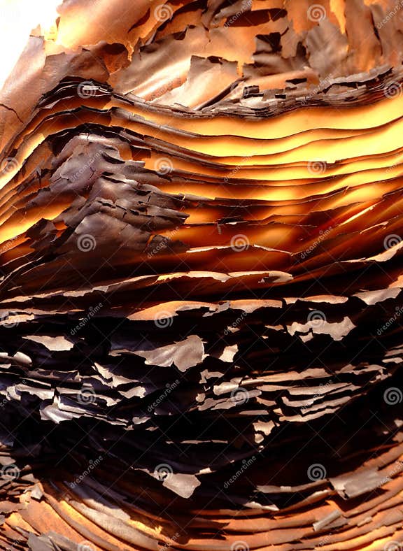 Burned book stock image. Image of cinder, papers, destruction - 4533485