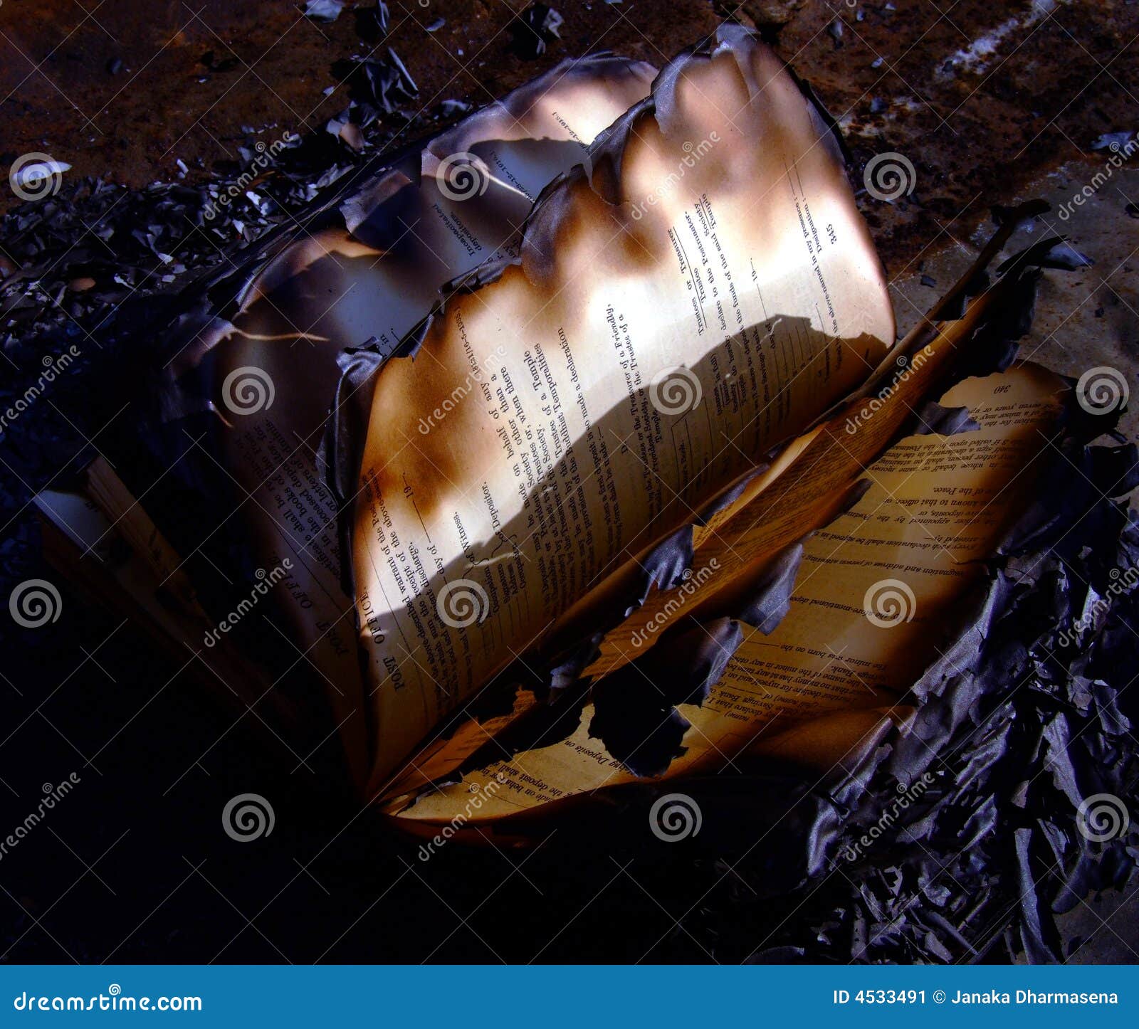 Burned book stock image. Image of ashes, burned, burn - 4533491