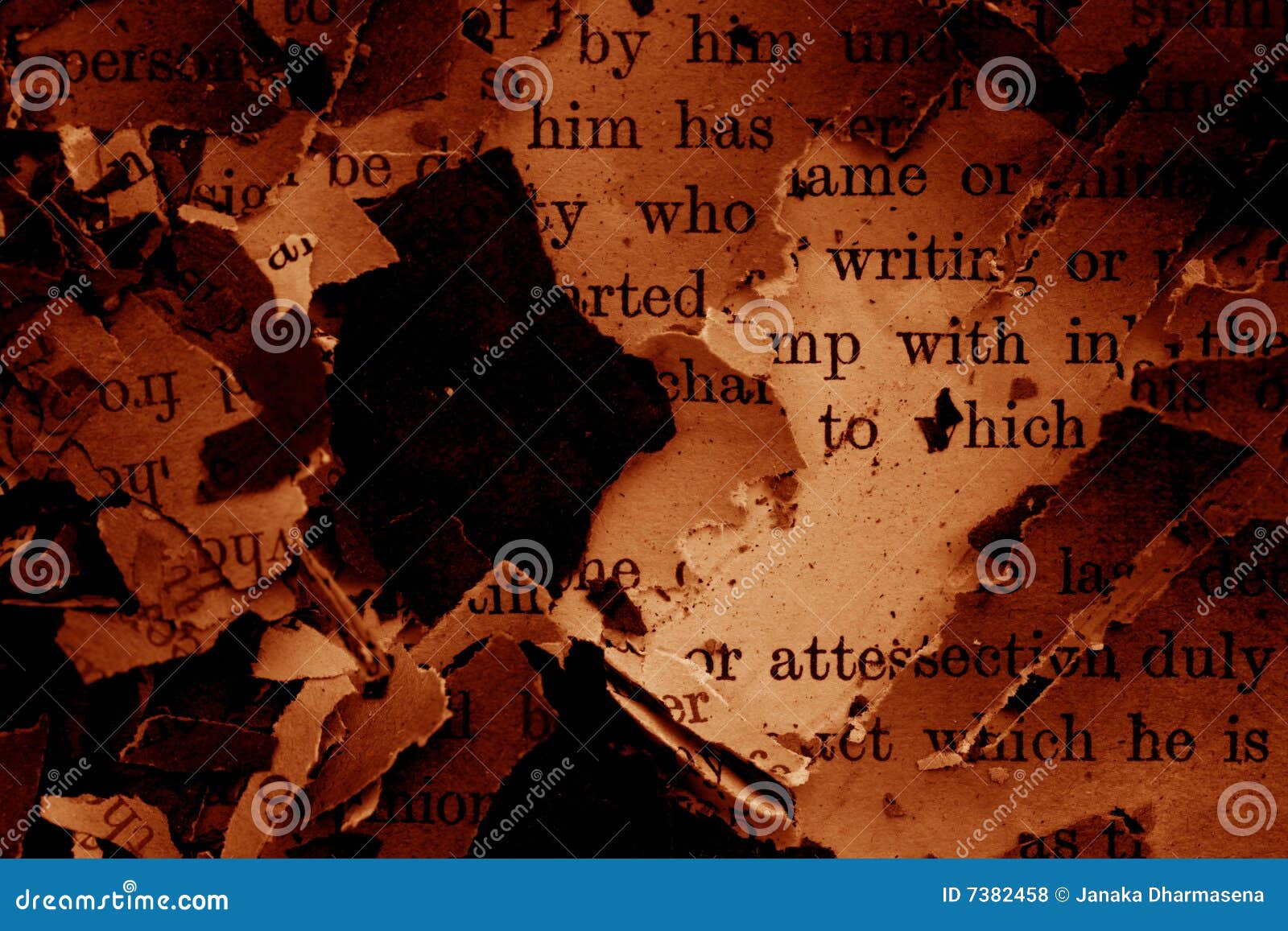 Burned book stock photo. Image of isolated, memories, fiery - 7382458