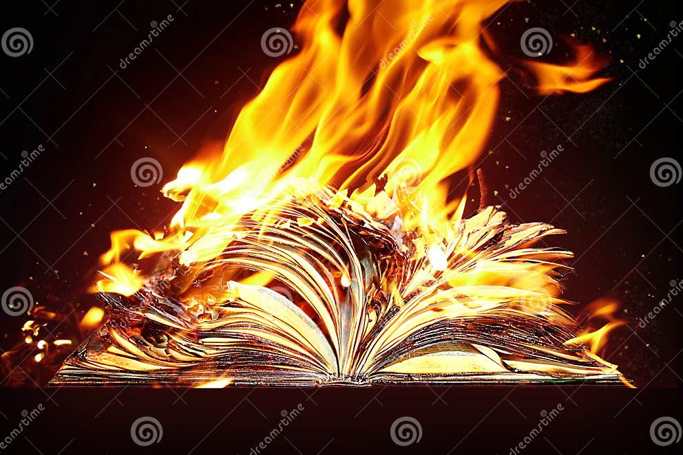 Burned book and fire. stock photo. Image of flame, booknburned - 116174996