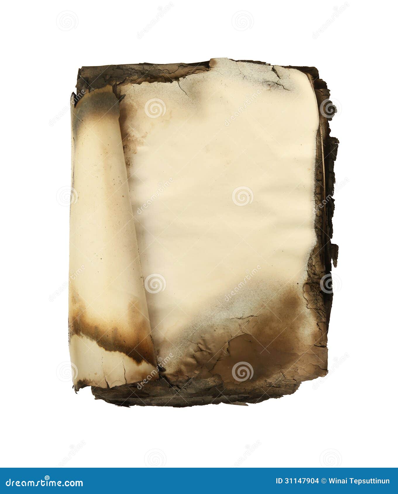 Burned book stock photo. Image of pattern, burnt, rough - 31147904