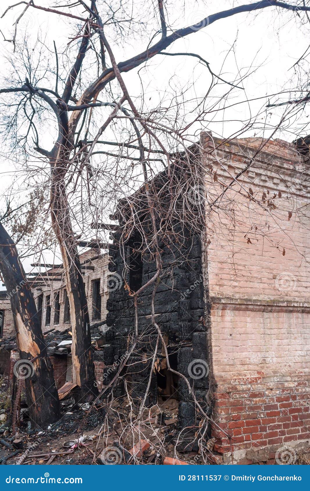 The burned-down house stock image. Image of bark, burn - 28111537