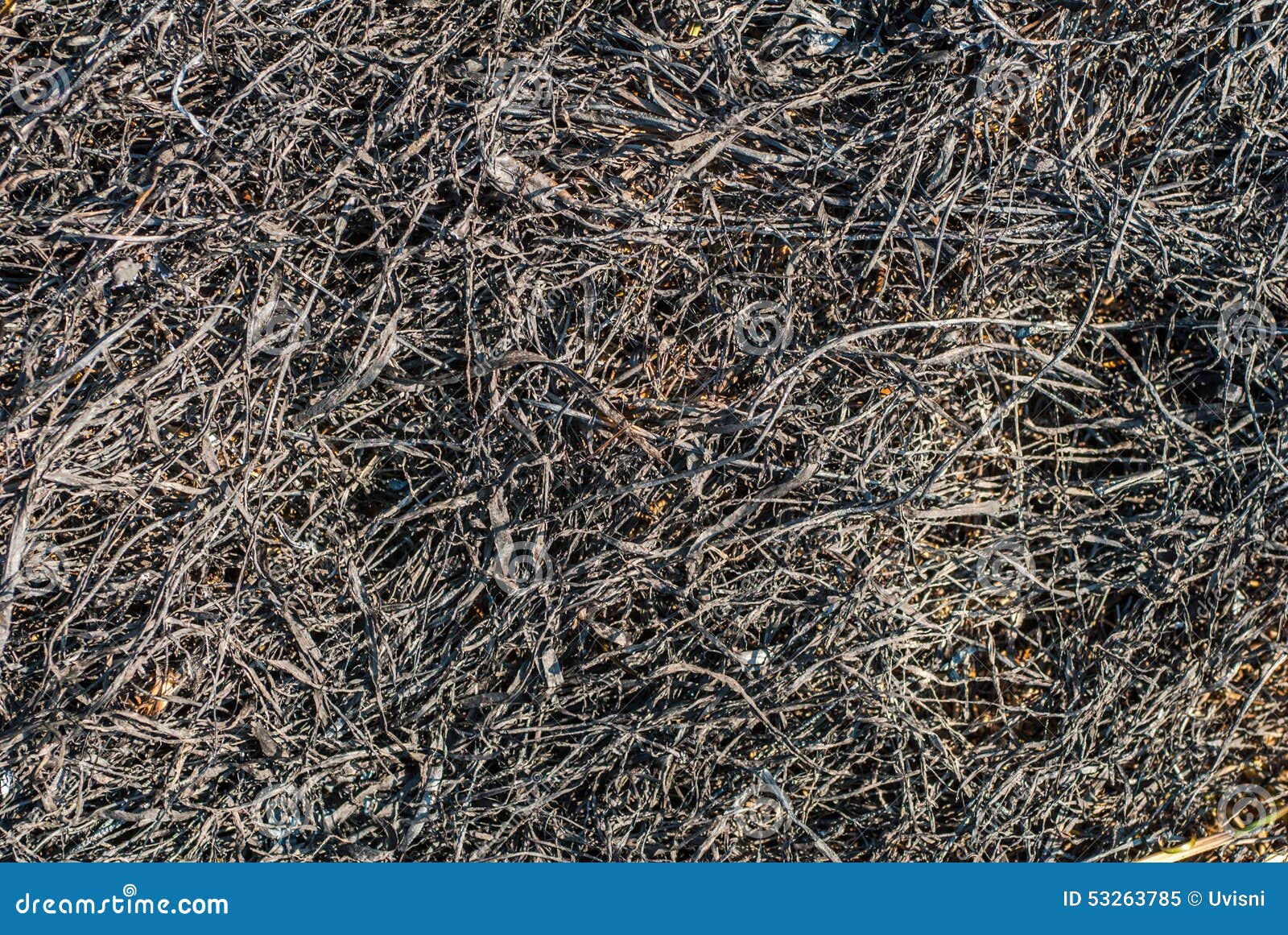 Burned Dry Grass Texture Stock Images - 176 Photos