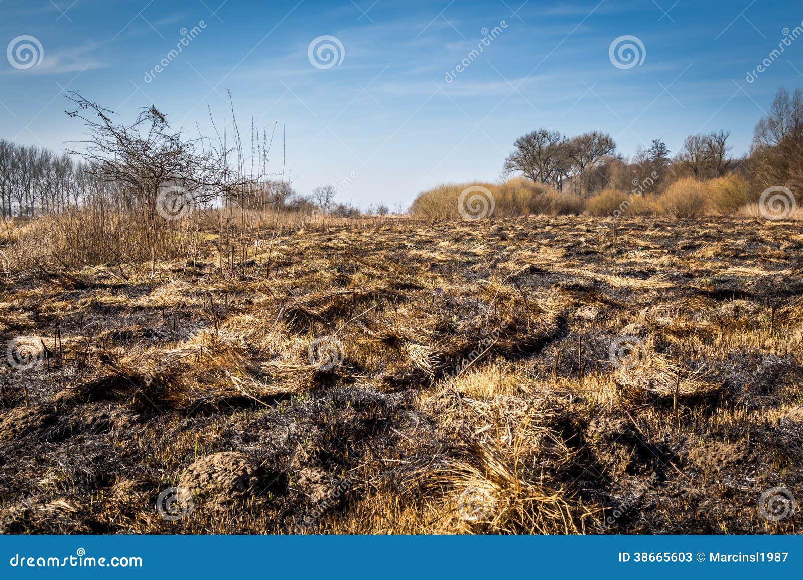 Burned field stock image. Image of nature, daylight, cottage - 38665603
