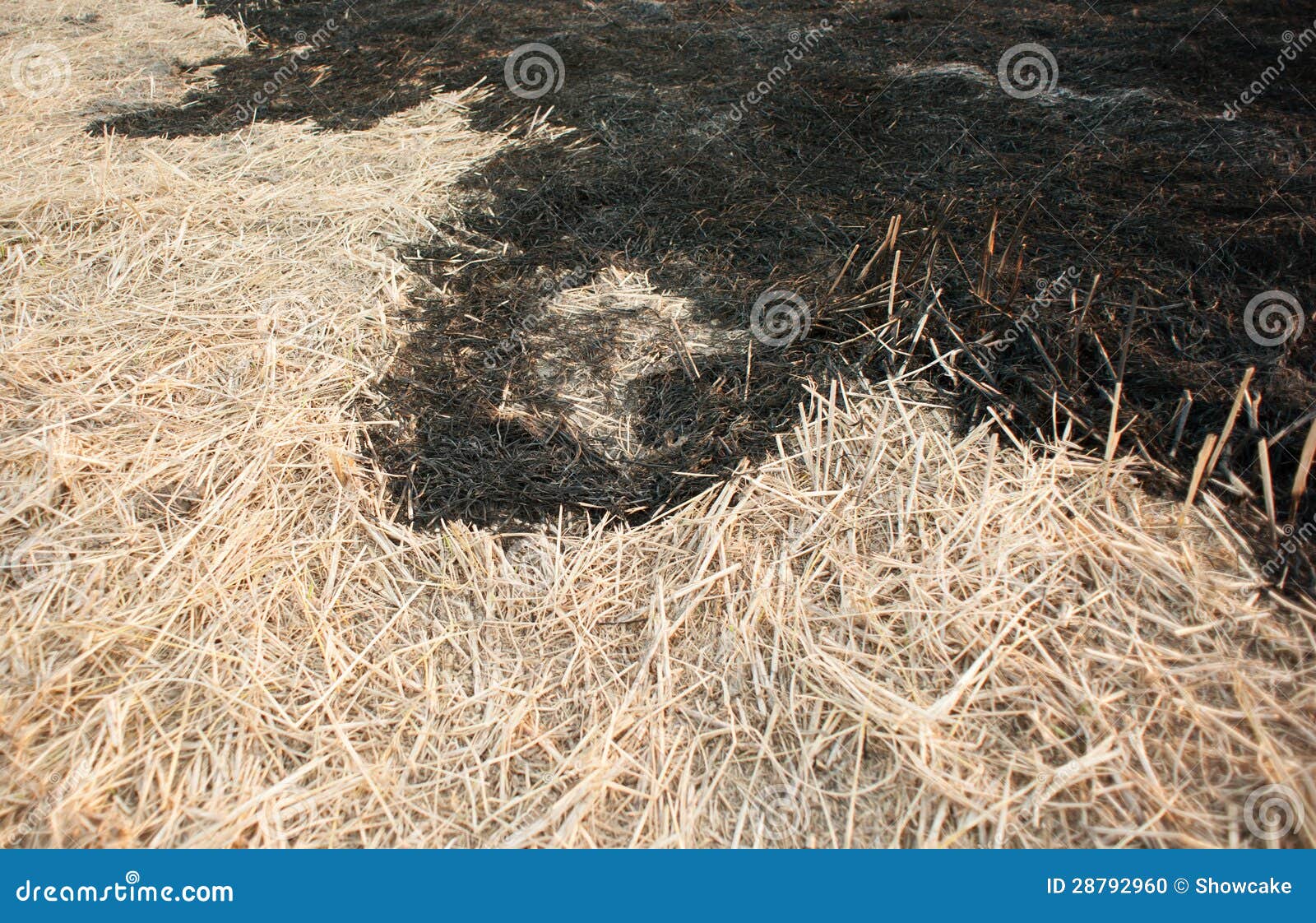 Burned fields stock photo. Image of field, grass, burn - 28792960