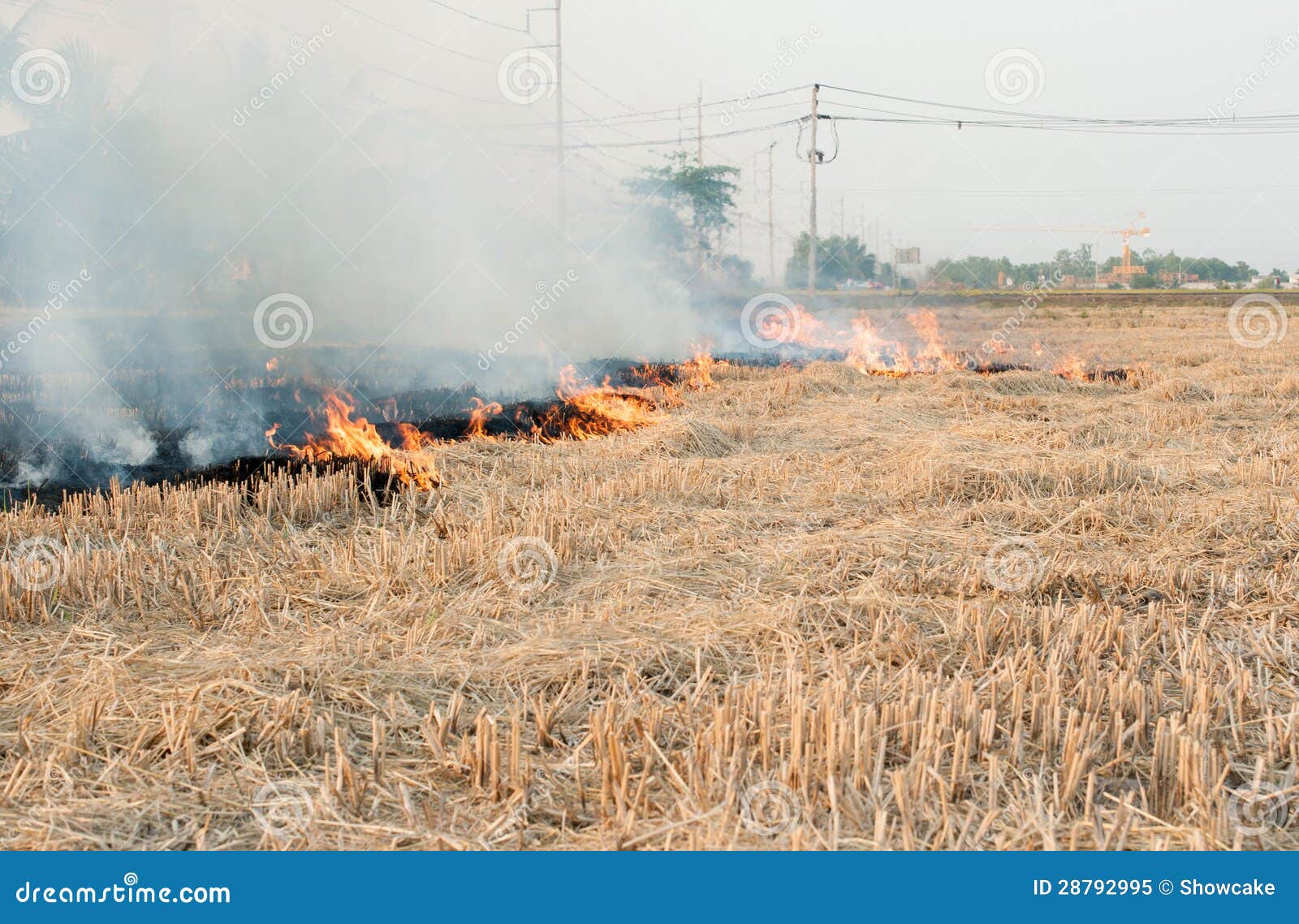 Burned fields stock image. Image of disaster, heat, fire - 28792995