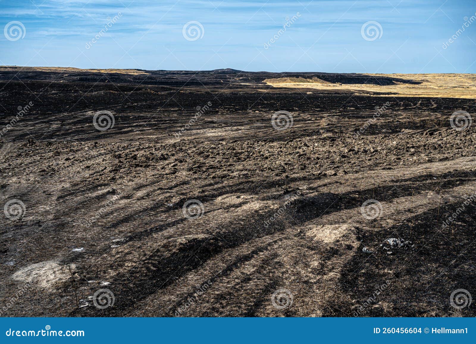 Burned Fields in WA stock photo. Image of sunset, wildfire - 260456604