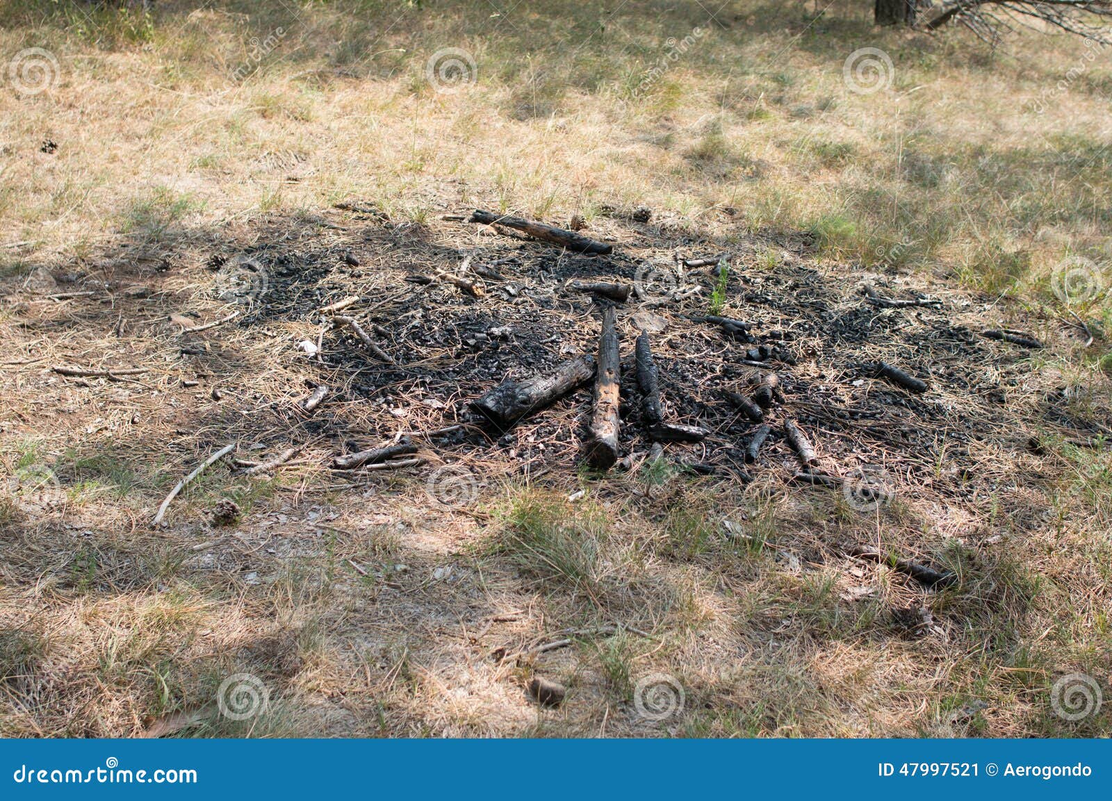 Burned Fire Place in Forest Stock Image - Image of dust, fire: 47997521