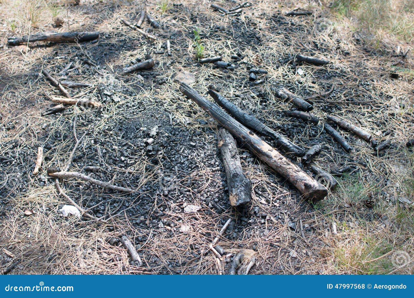 Burned Fire Place in Forest Stock Photo - Image of burned, dark: 47997568
