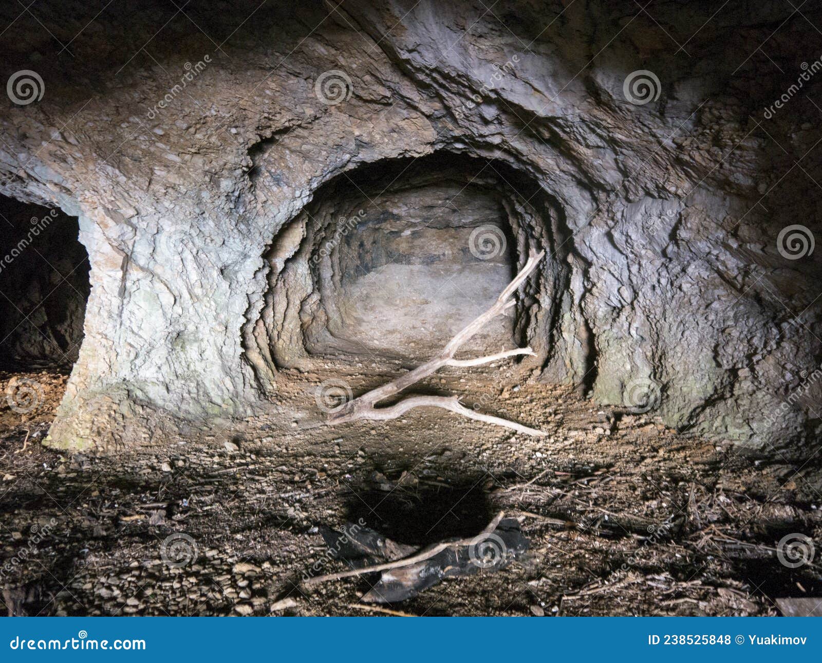 Burned Fireplace in Stone Cave with Pillar and Big Tree Branch Front ...