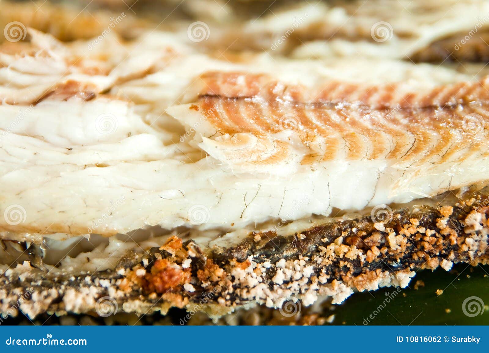 Burned fish stock photo. Image of protein, fresh, burn - 10816062