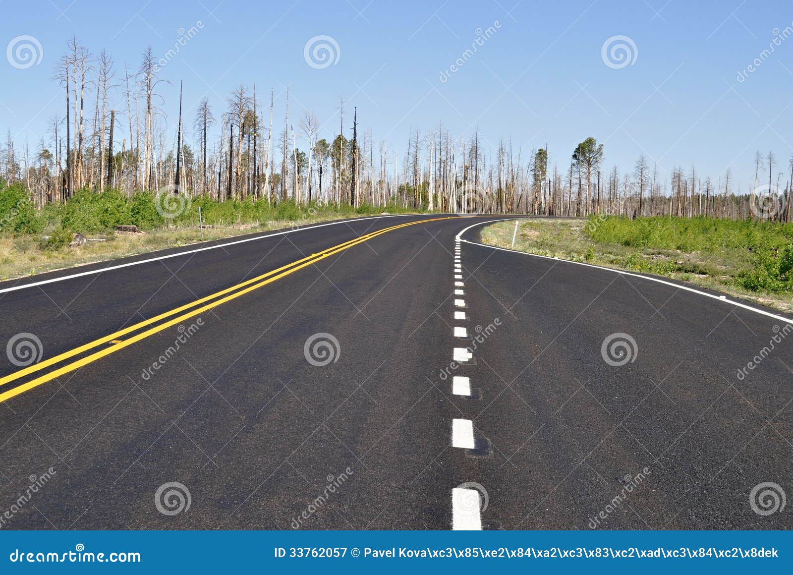 Burned forest road stock image. Image of fireplace, dead - 33762057