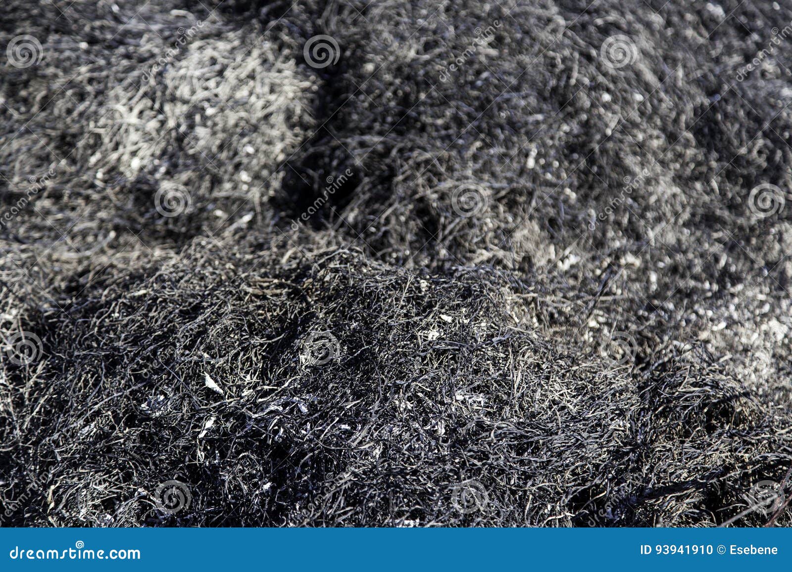 Burnt grass stock photo. Image of abstract, forest, element - 93941910