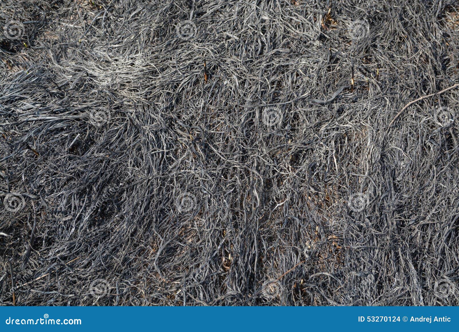 Burned ground stock photo. Image of background, soil - 53270124