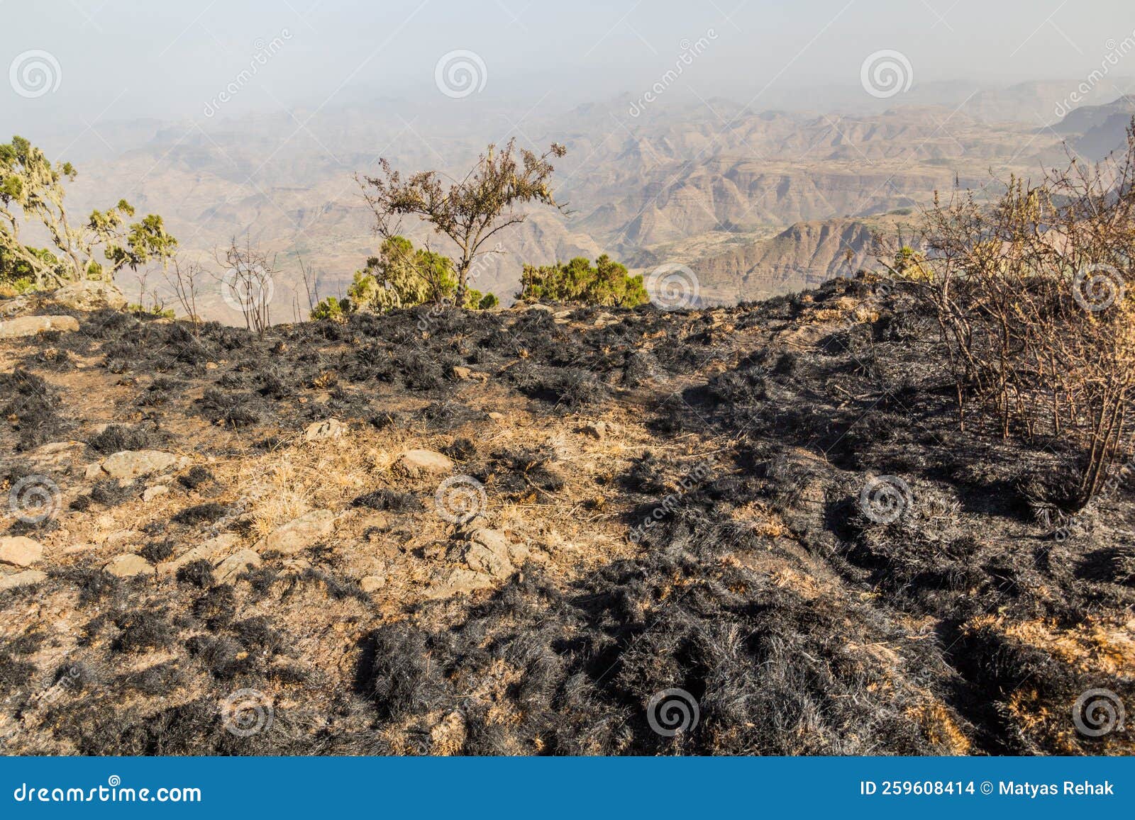 Burned Land after a Wild Fire in Simien Mountains, Ethiop Stock Photo ...