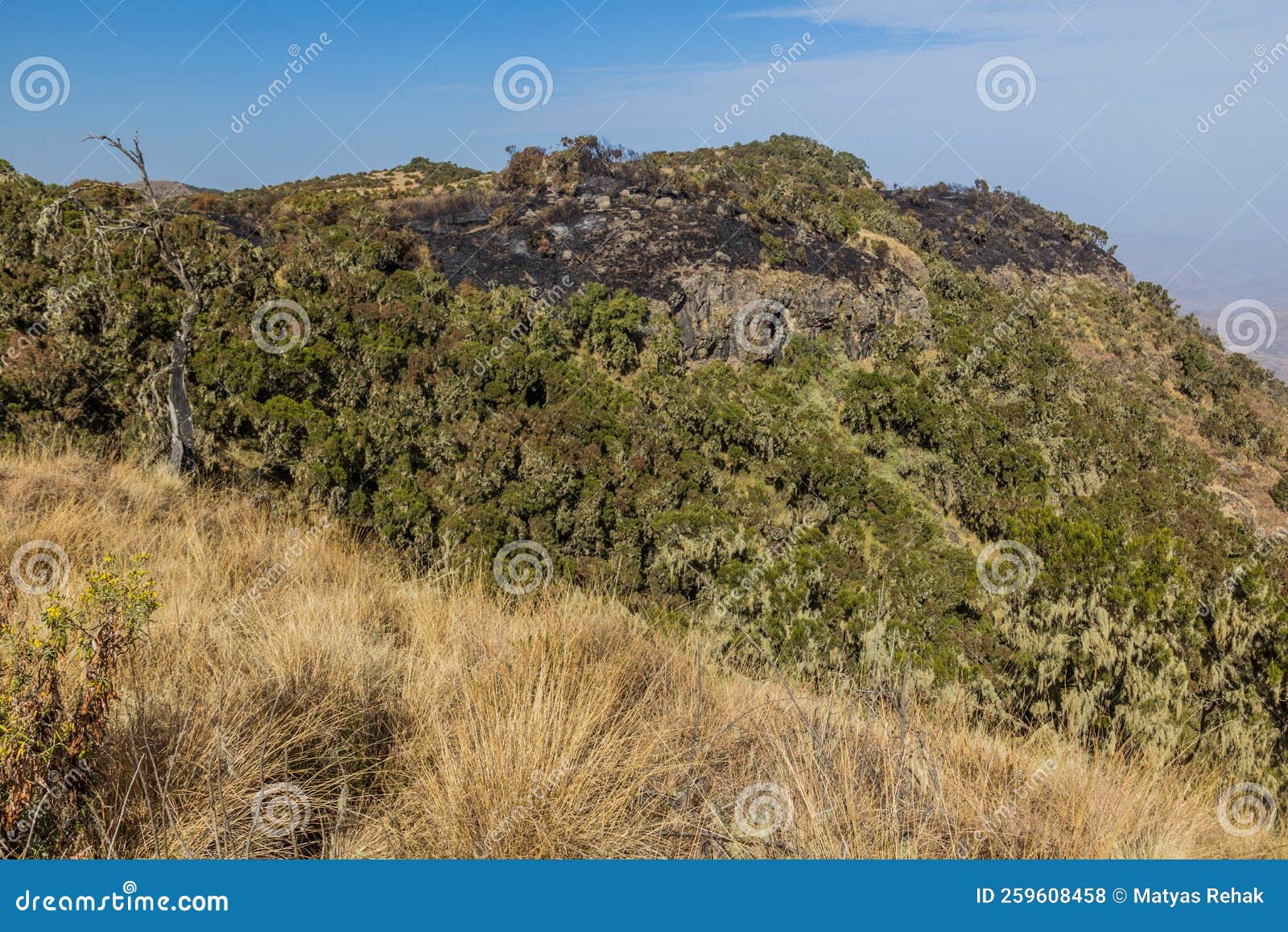 Burned Land after a Wild Fire in Simien Mountains, Ethiop Stock Photo ...