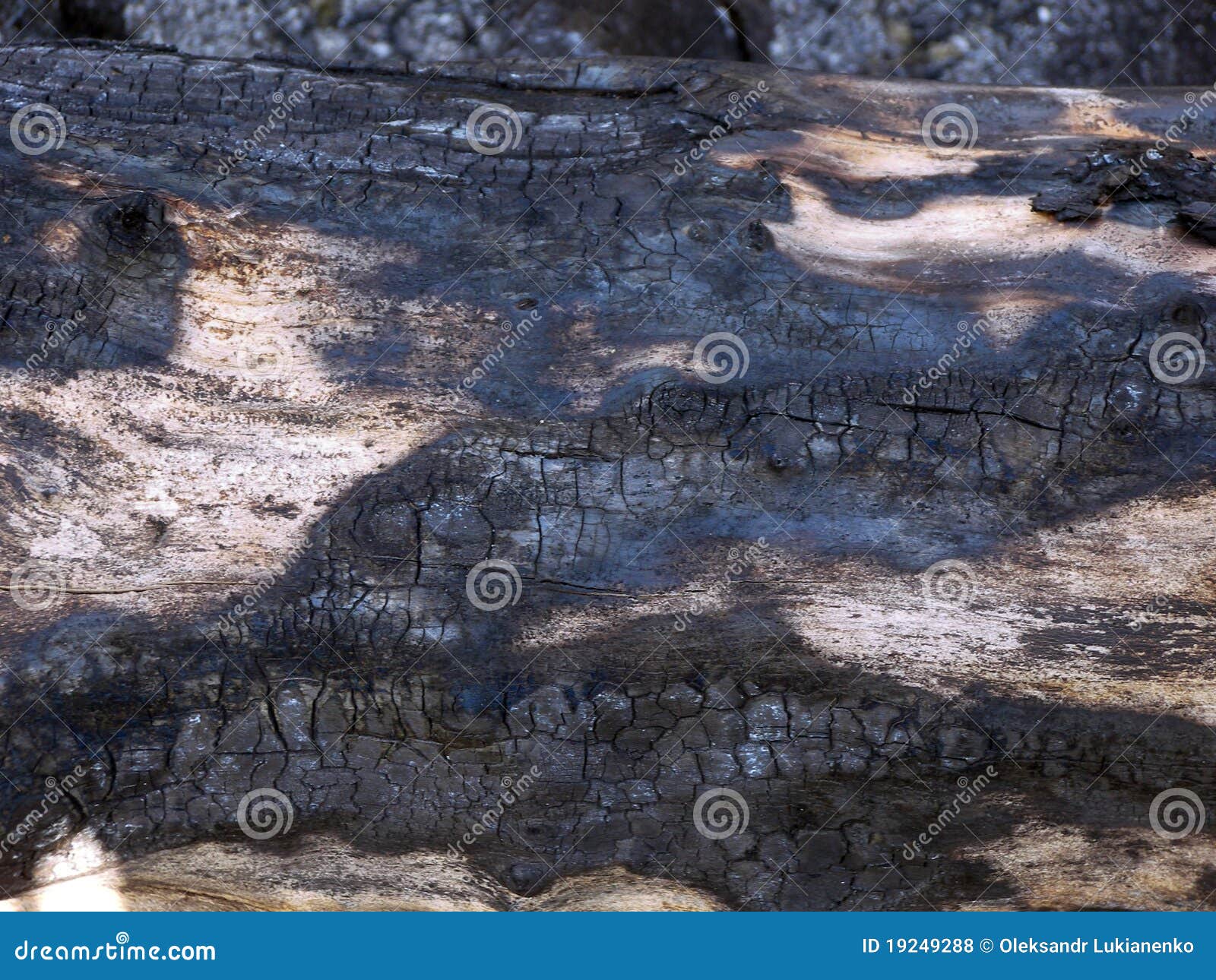 A burned log. stock photo. Image of rural, wood, background - 19249288