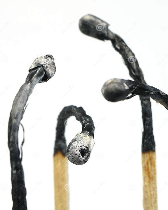Burned Match Sticks stock photo. Image of limp, exhausted - 56414