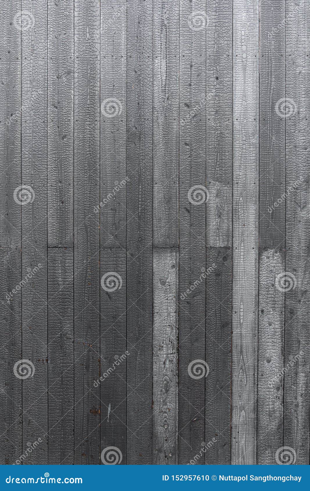 Burned Natural Wood Plank Panel Texture in High Resolution / Black Wood ...