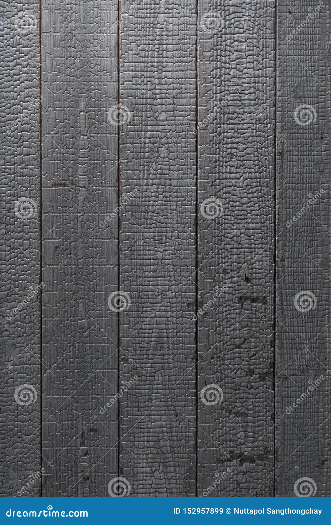 Burned Natural Wood Plank Panel Texture in High Resolution / Black Wood ...