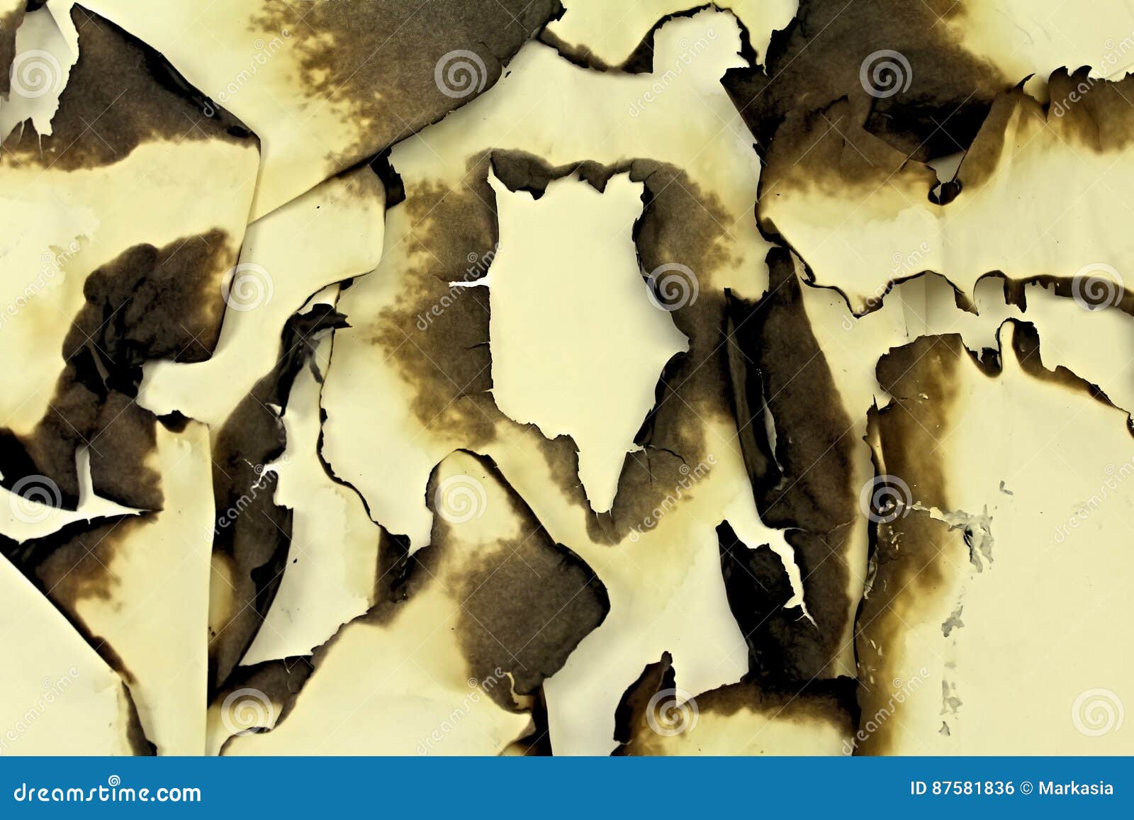 Burned old paper. stock photo. Image of page, ashes, burn - 87581836