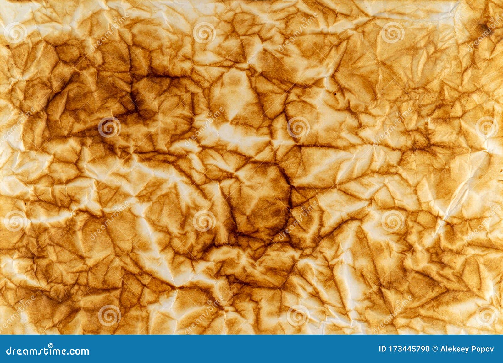 Burned old sheet of paper stock photo. Image of antique - 173445790