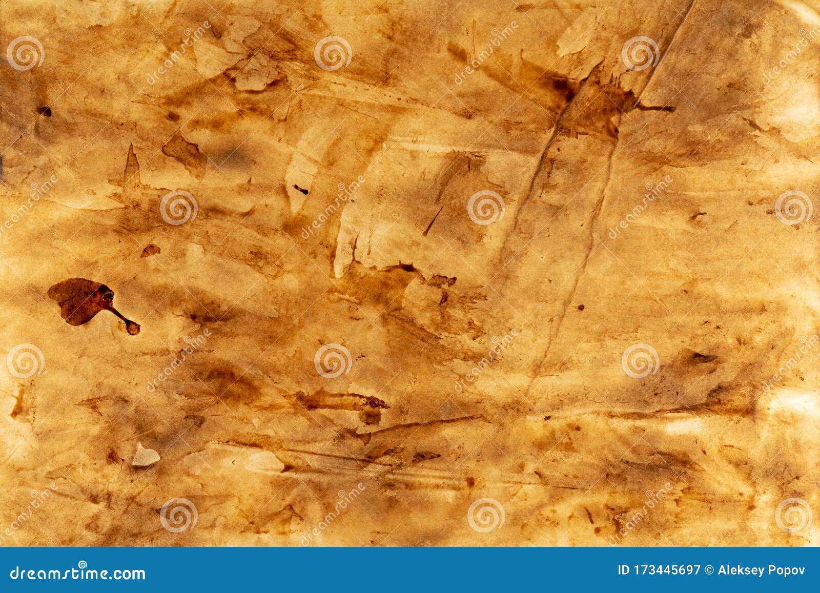 Burned old sheet of paper stock image. Image of empty - 173445697