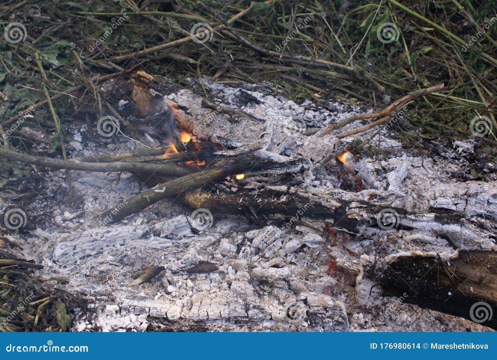 A Fire Burned Out in the Clearing. Stock Photo - Image of burned, coals ...