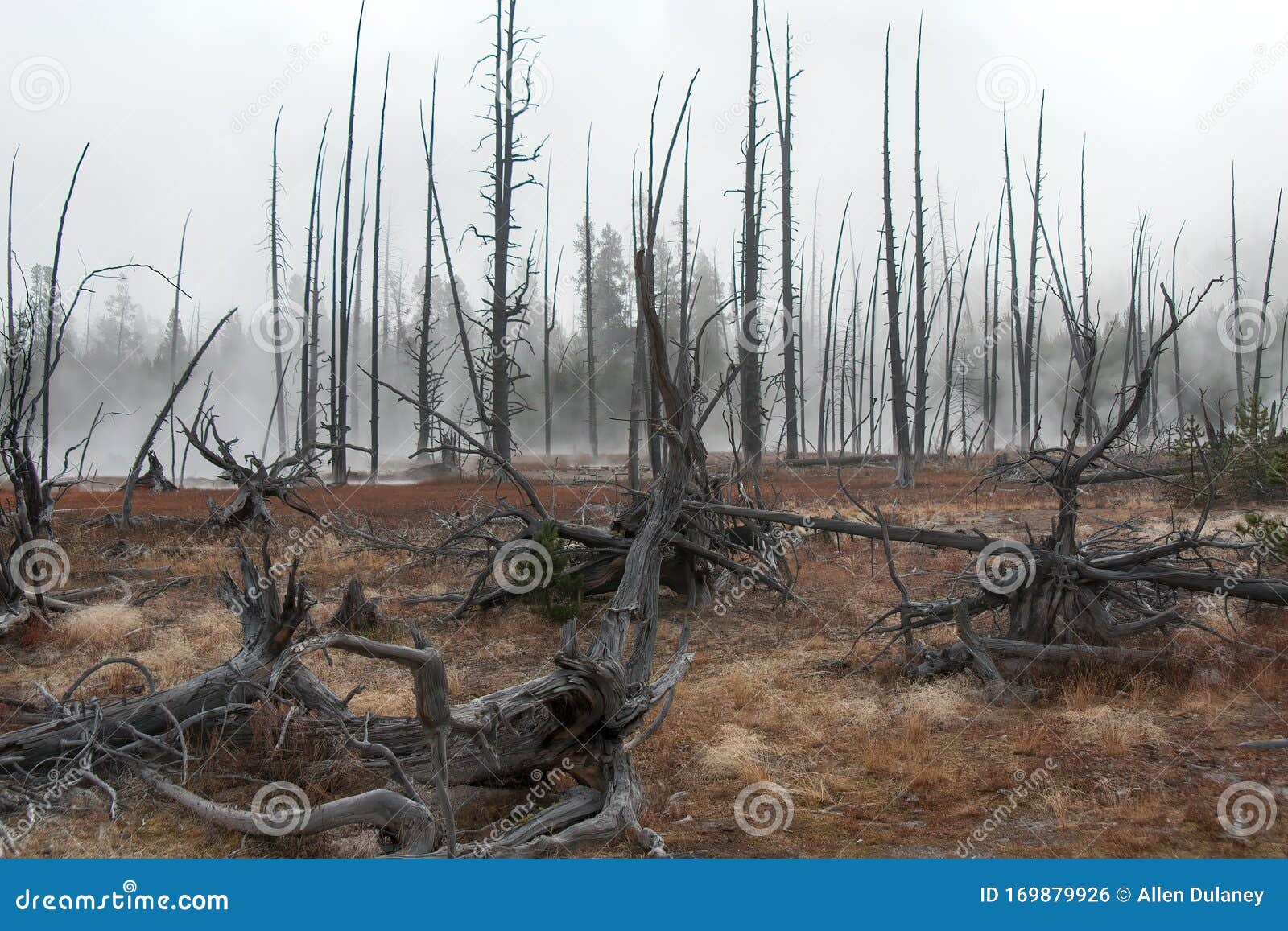 A Desolate Scene Of Broken Walls-Ruined City Royalty-Free Stock Photo ...