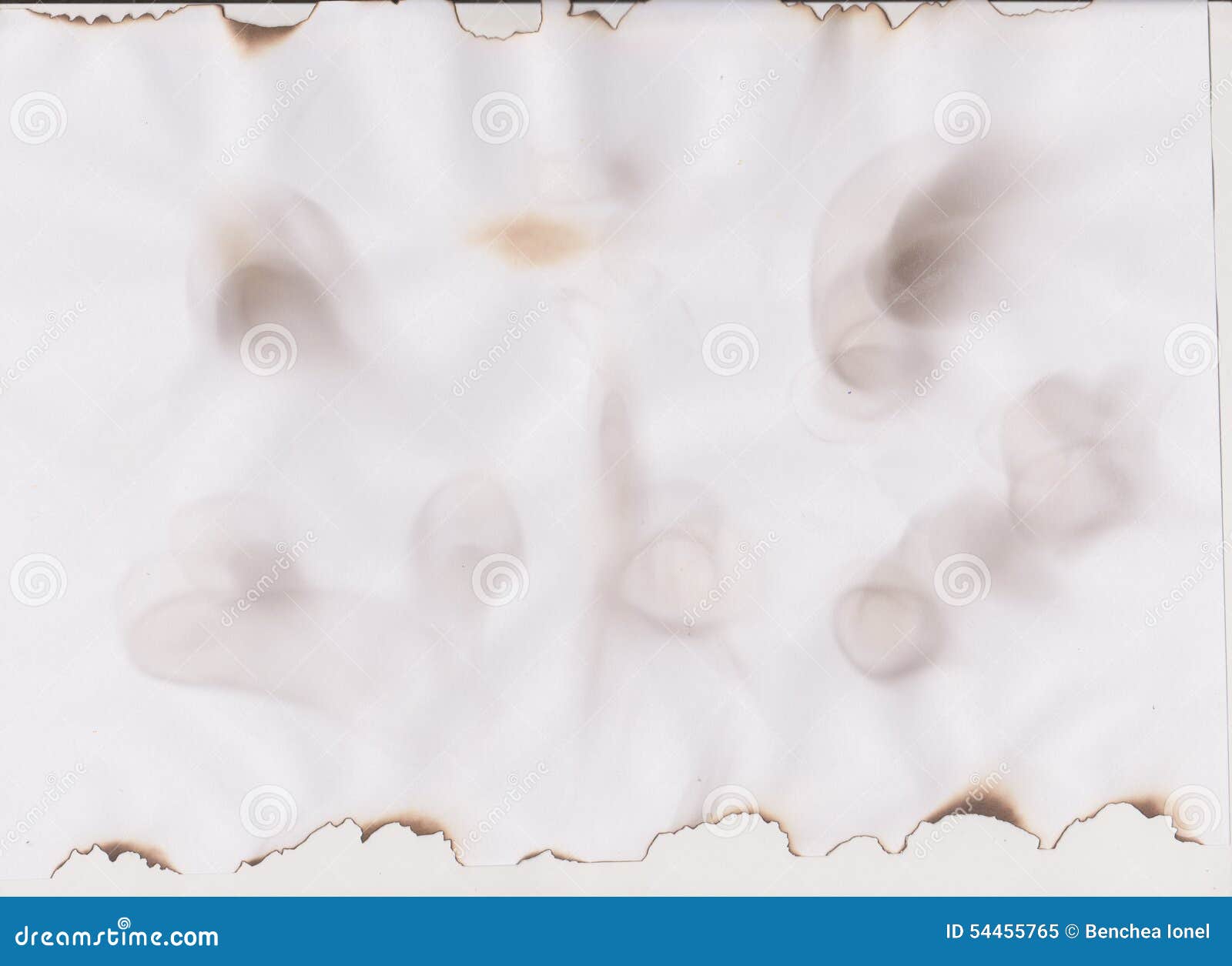 Burned paper stock image. Image of color, dark, nature - 54455765