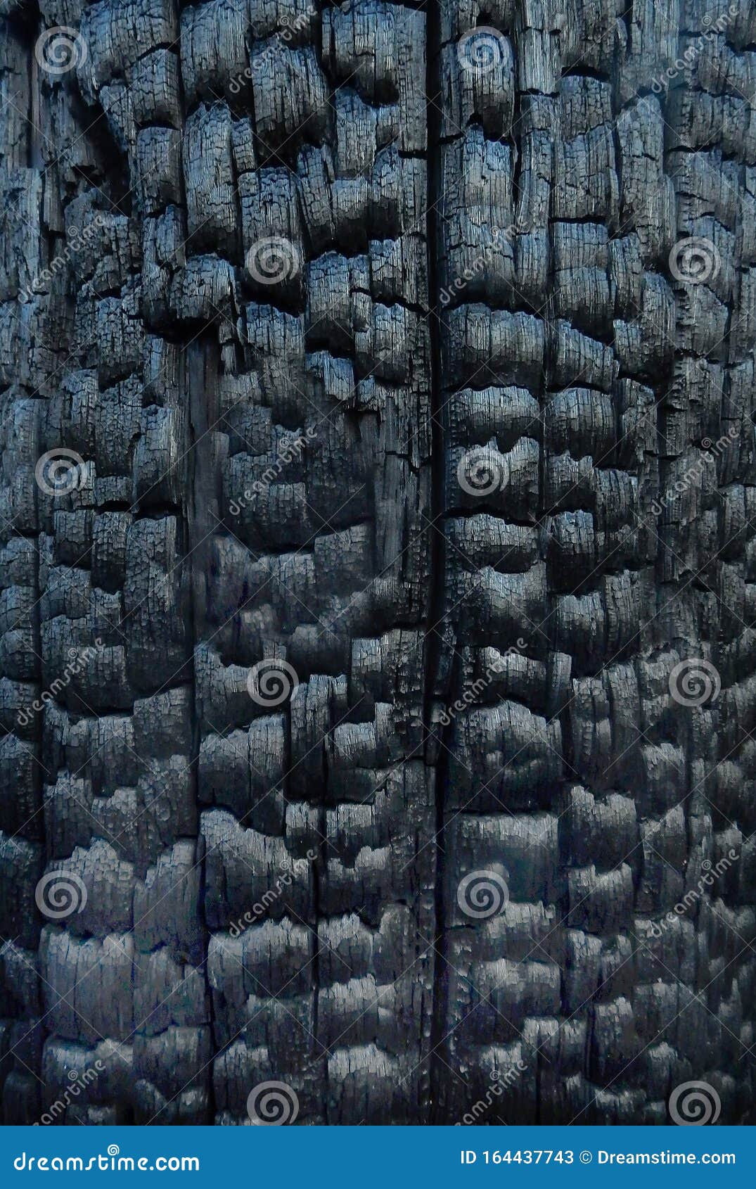 Burnt Tree Trunk, Black Coal. Stock Image - Image of hanging, fire ...