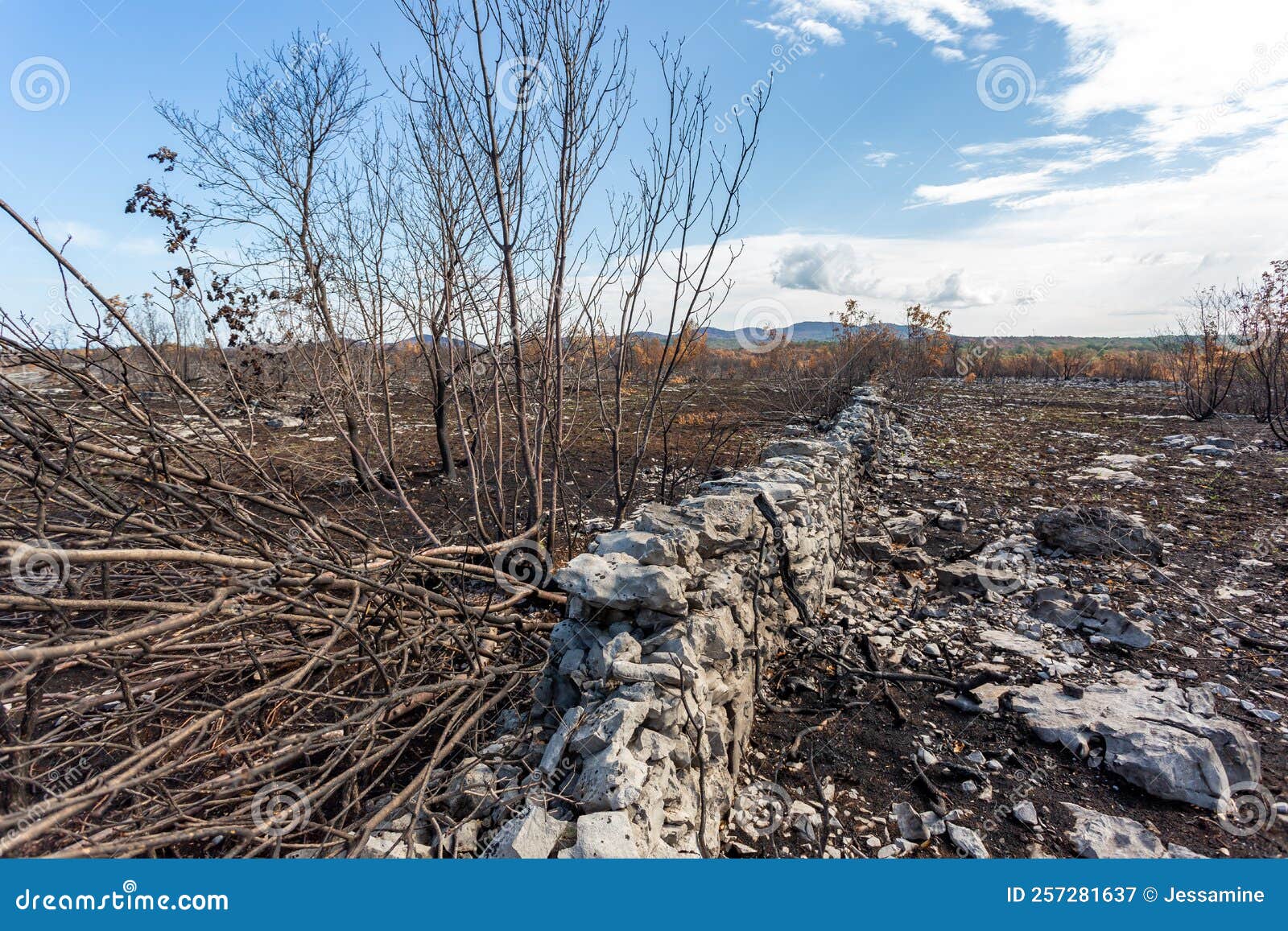 Devastating Scenes after Big Summer Wildfires in Karst Region in ...