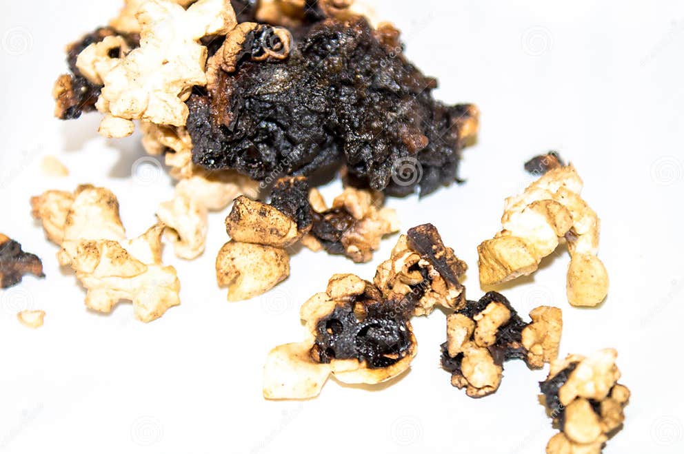 Burned popcorn stock photo. Image of popcorn, kitchen - 84644098