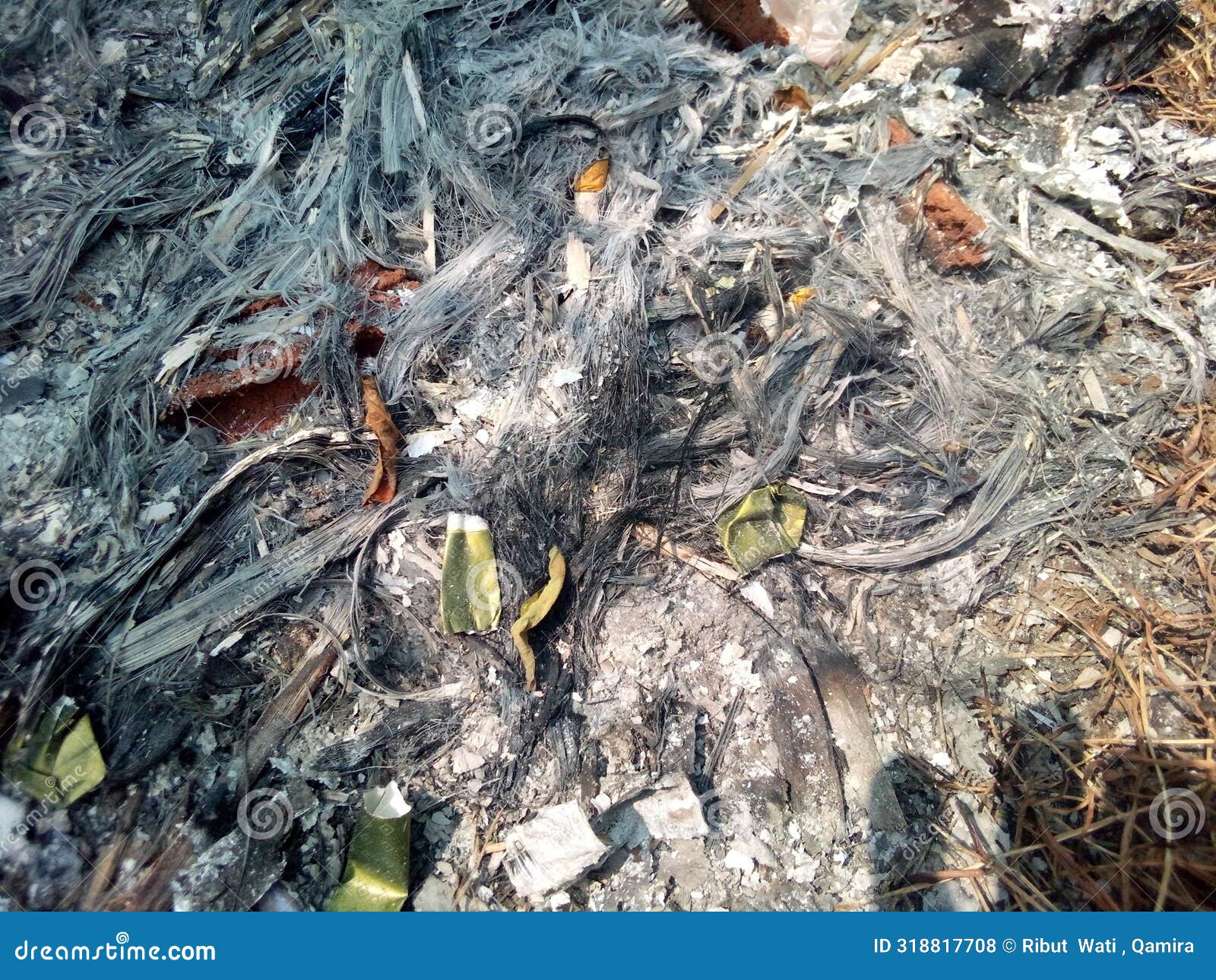 Burning trash stock photo. Image of leaves, trash, nature - 318817708