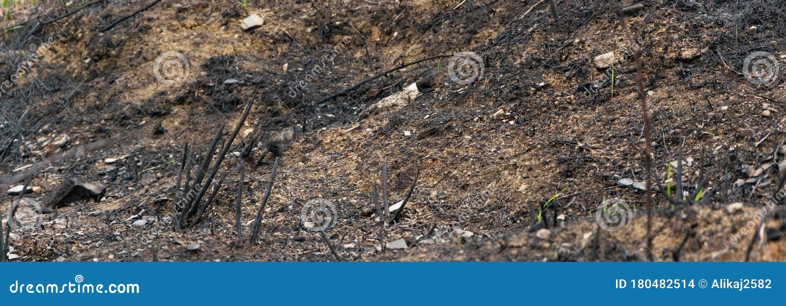 Burned Soil, Damage Earth by Fire, Natural Disaster Stock Photo - Image ...