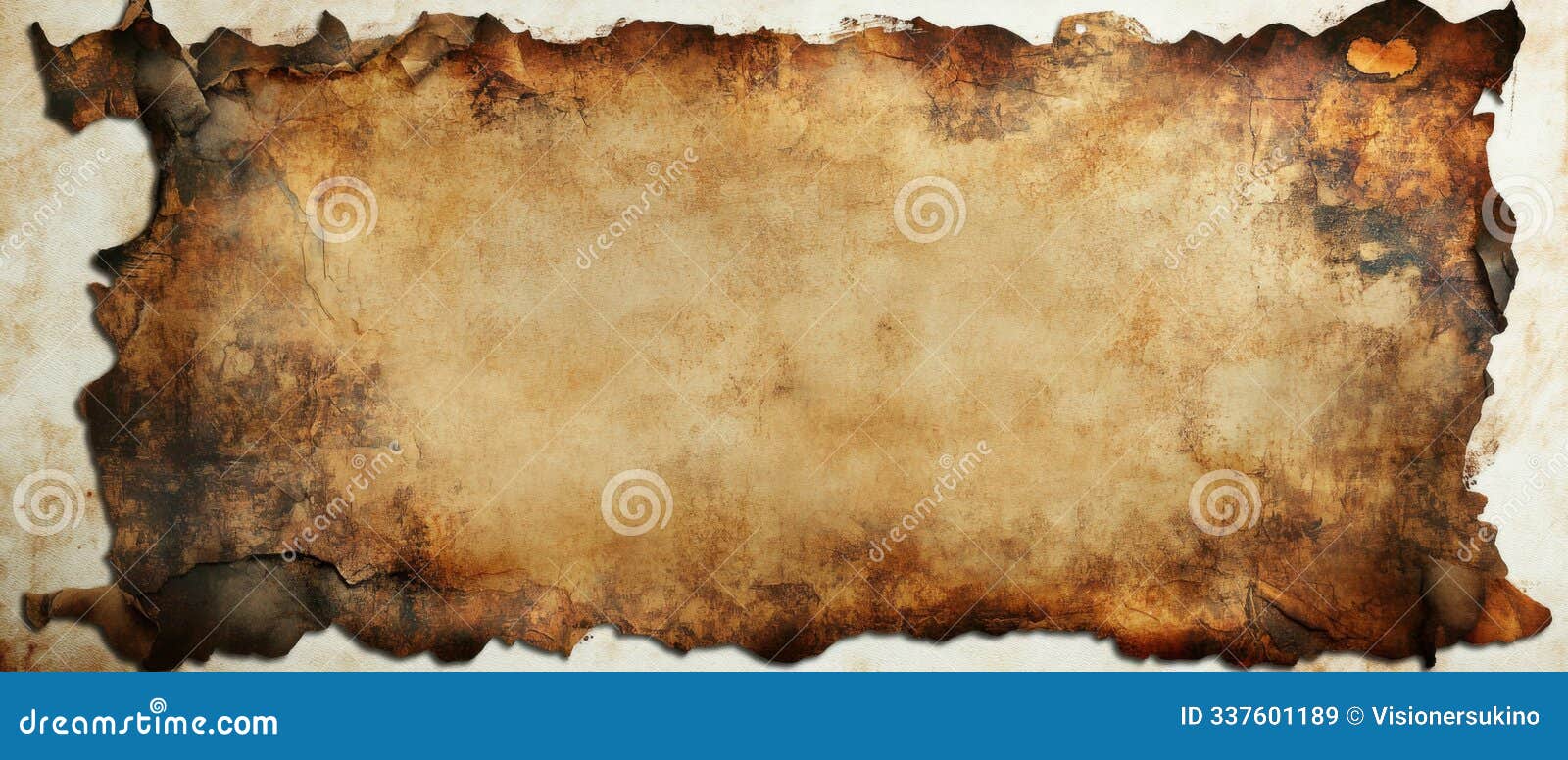 A Burned and Torn Sheet of Parchment with an Irregular Edge Stock ...