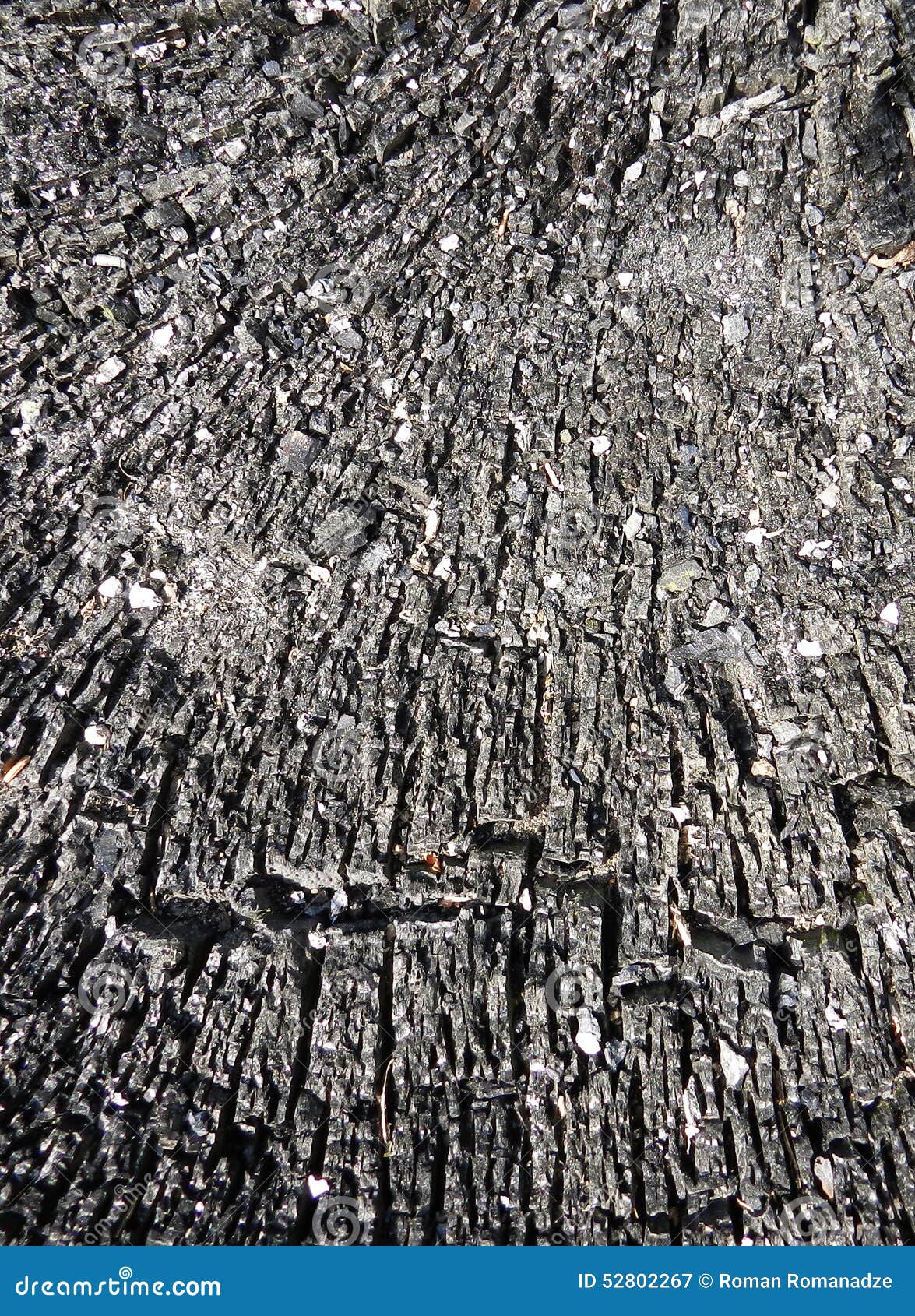 Burned tree stump stock image. Image of grunge, material - 52802267