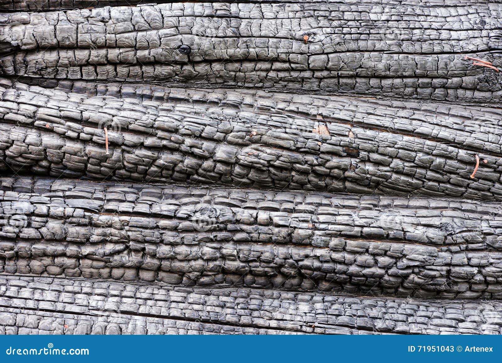 Burned Tree Texture Background. Burnt Log Stock Image - Image of ...