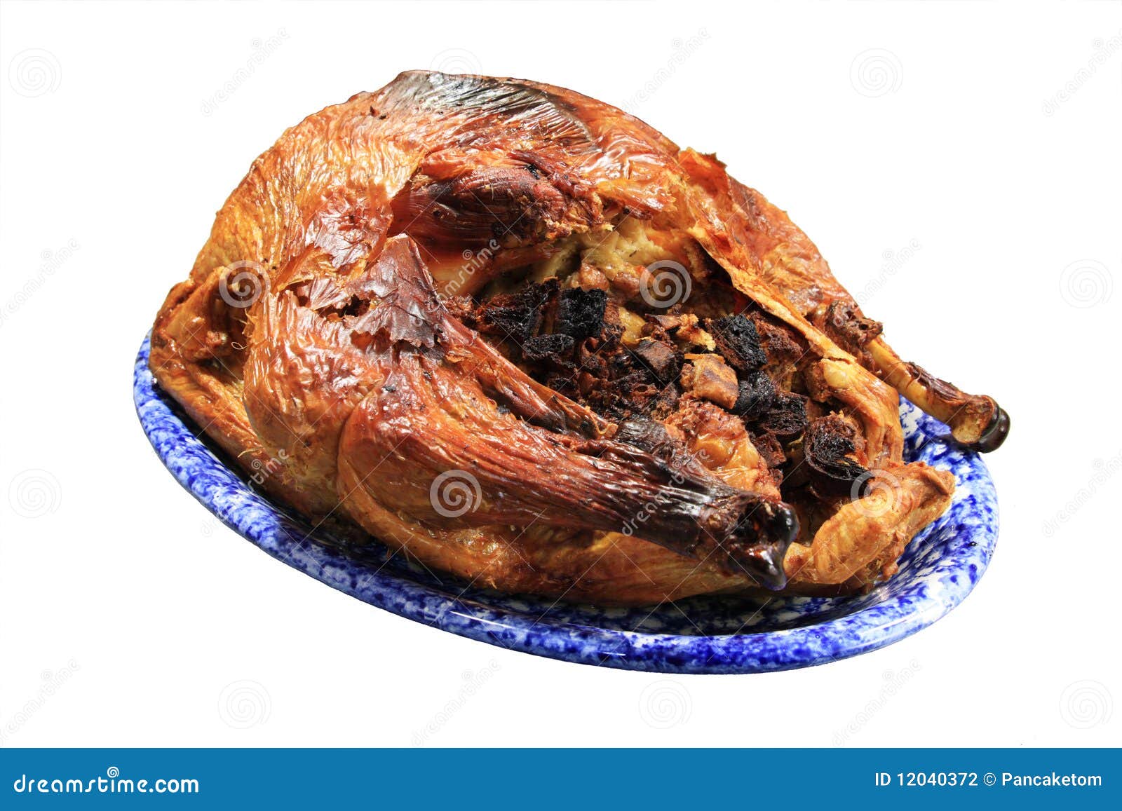 Burned turkey stock photo. Image of poultry, isolated - 12040372