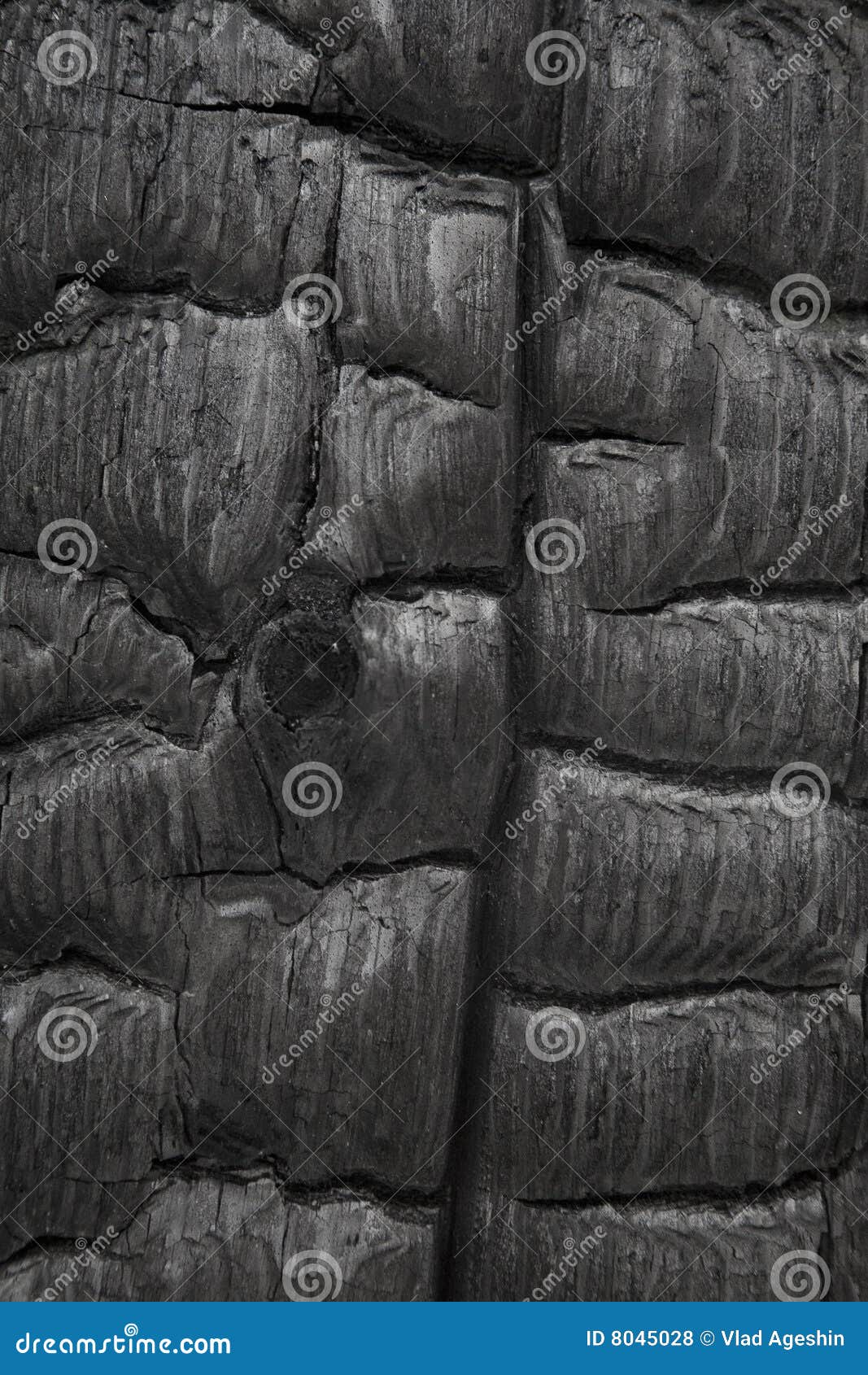 Burned wood texture stock photo. Image of black, close - 8045028