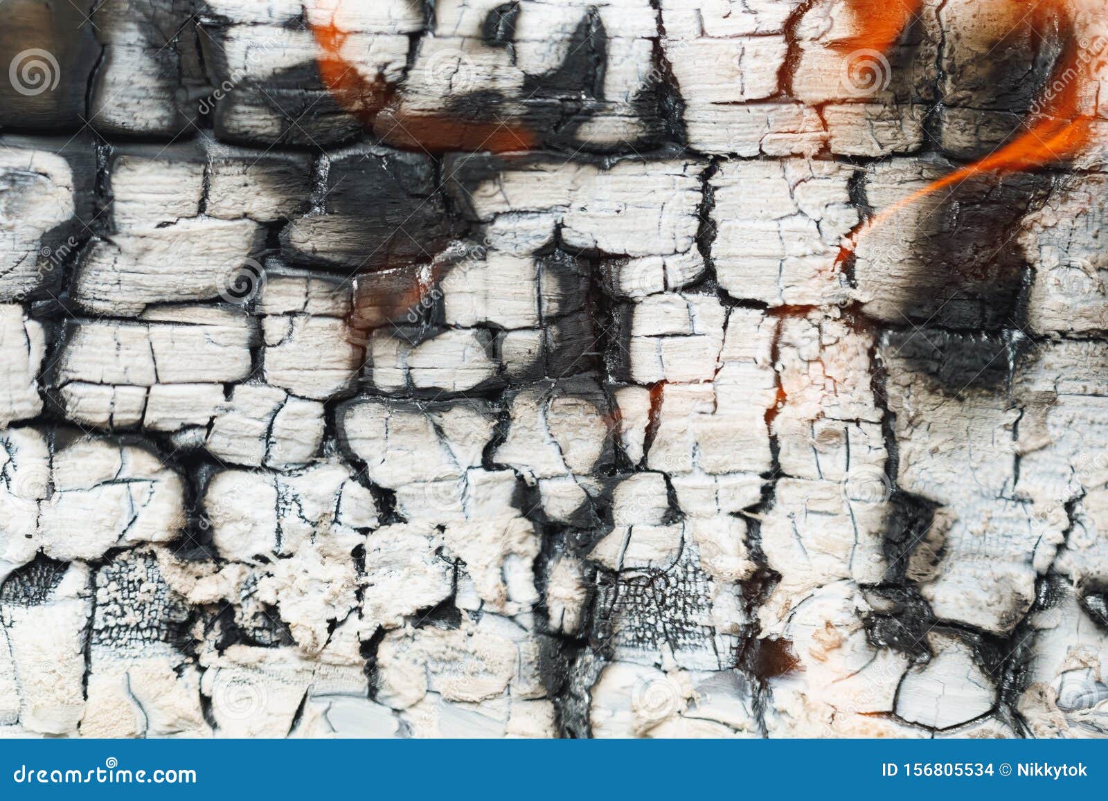 Burned Wooden Log with Ashes Texture Stock Photo - Image of bonfire ...