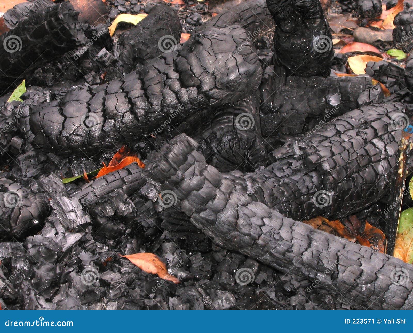 Burned Wooden Logs stock image. Image of barbecue, warmth - 223571