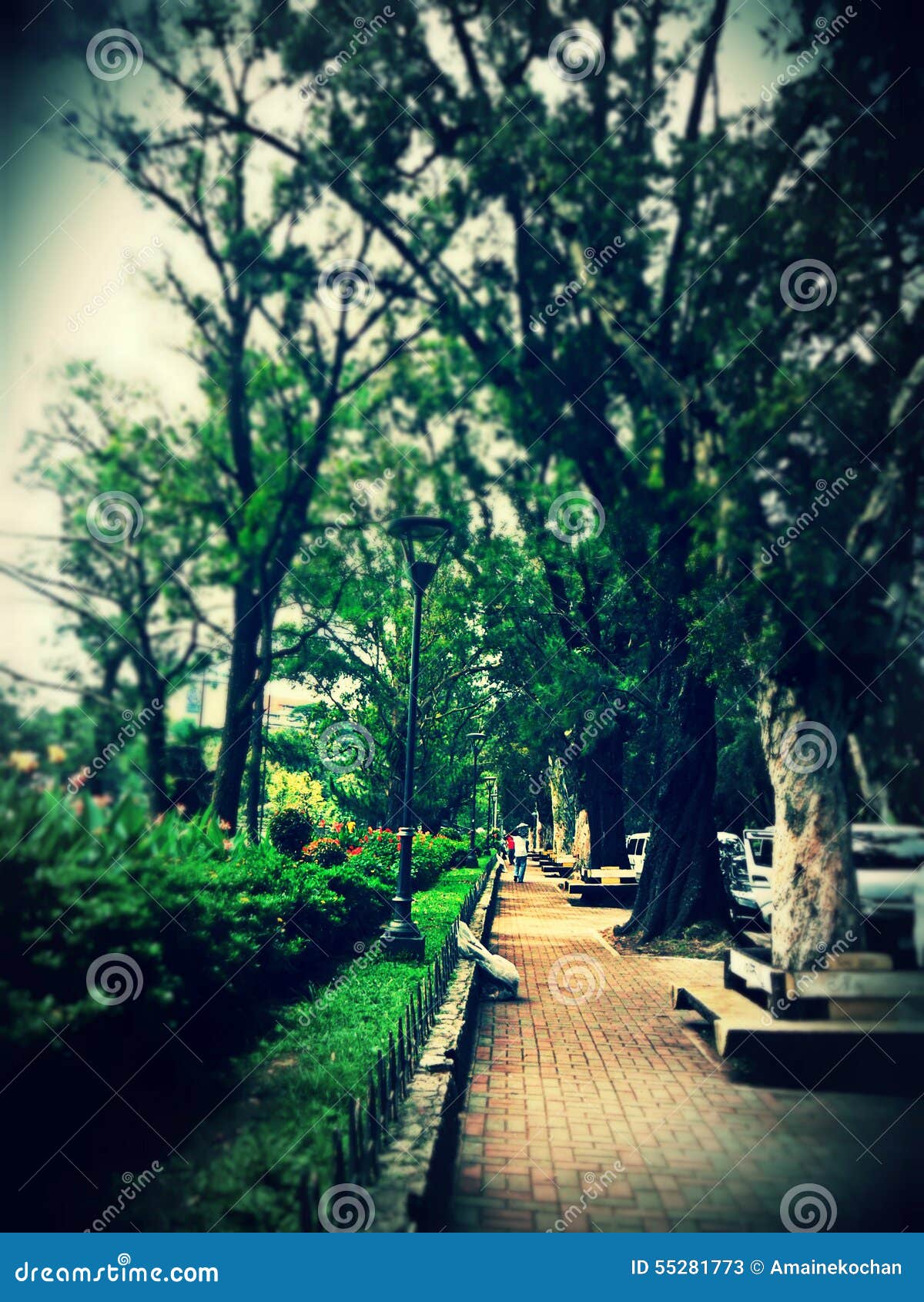 Burnham Park stock image. Image of baguio, trees, flowers - 55281773