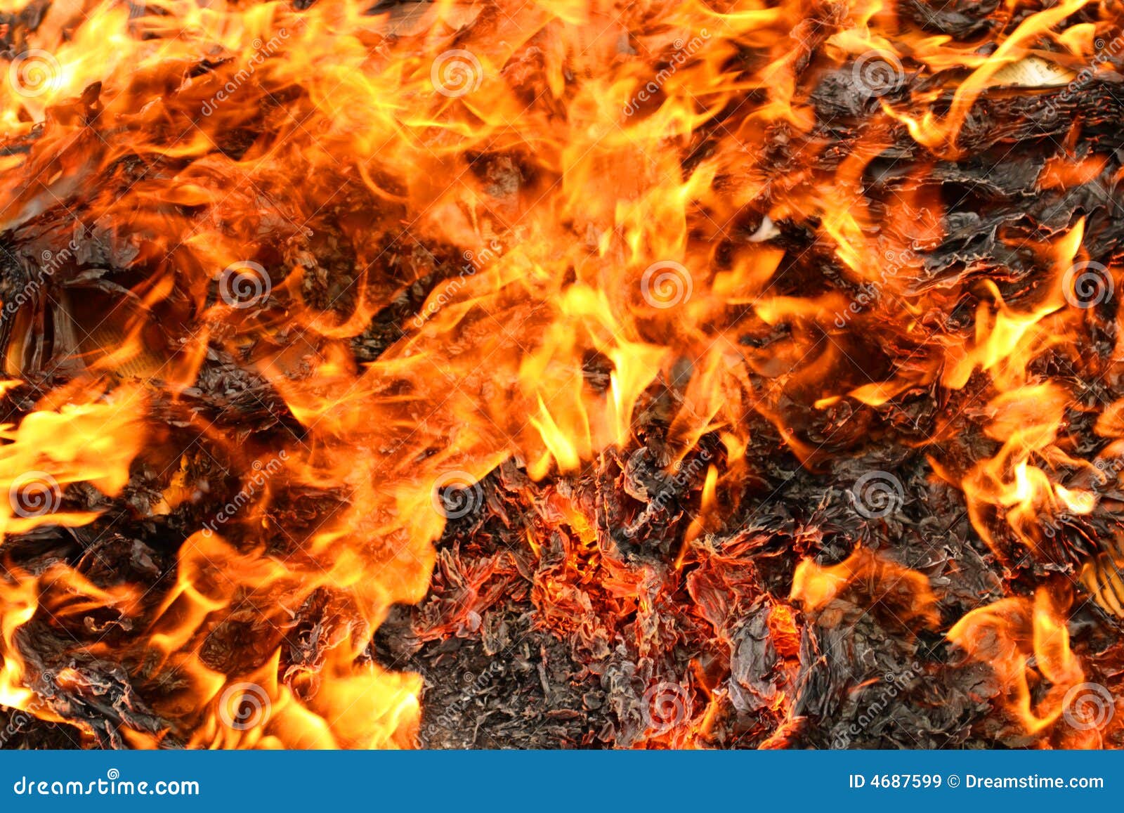 Burning stock image. Image of blaze, ashes, flames, blazing - 4687599