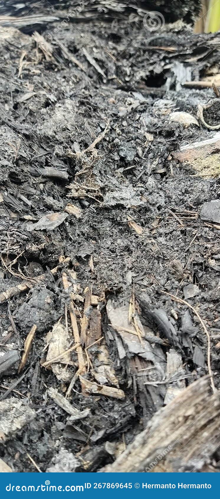 The Burning Ashes Combustion Residue Stock Image - Image of burning ...